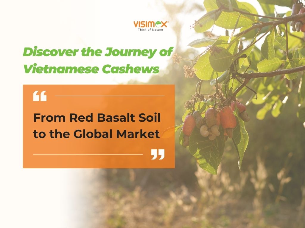 Discover the Journey of Vietnamese Cashews: From Red Basalt Soil to the ...